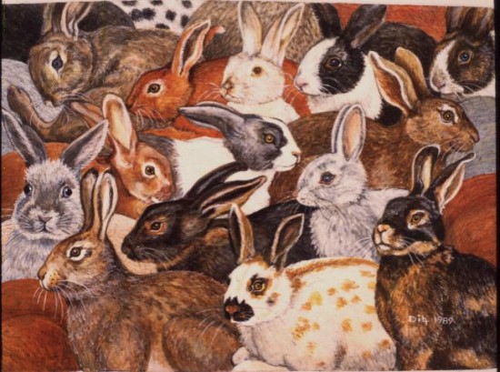 Rabbit-Spread by Ditz on The Bazaar